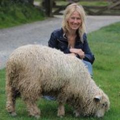 Carola Becker: Lebenslauf, Bücher und Rezensionen bei LovelyBooks